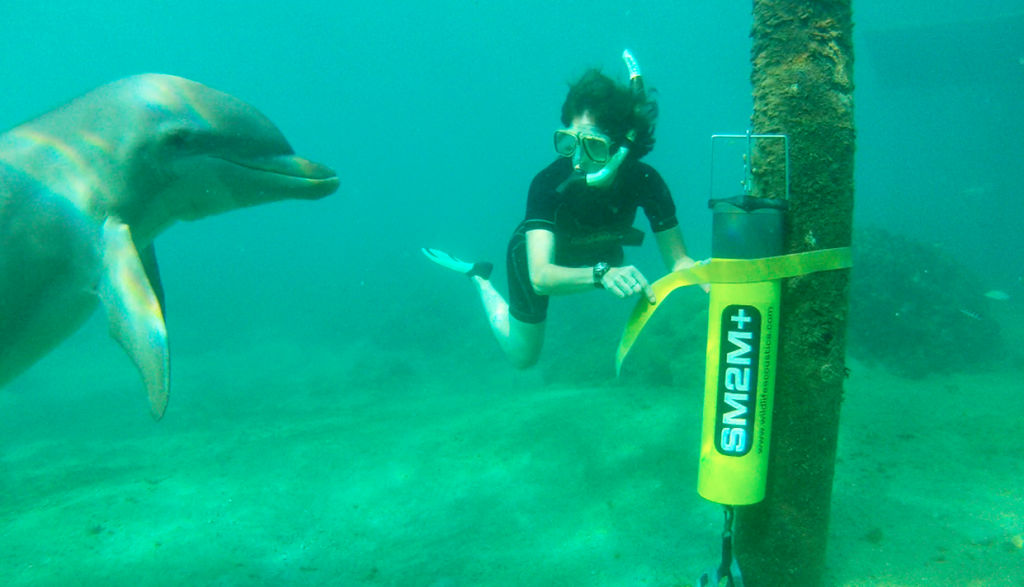 Marine Acoustics